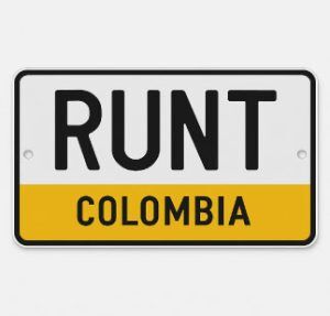 Consultar RUNT por PLACA 🚗 en Colombia 【2025】Ver Multas y SOAT